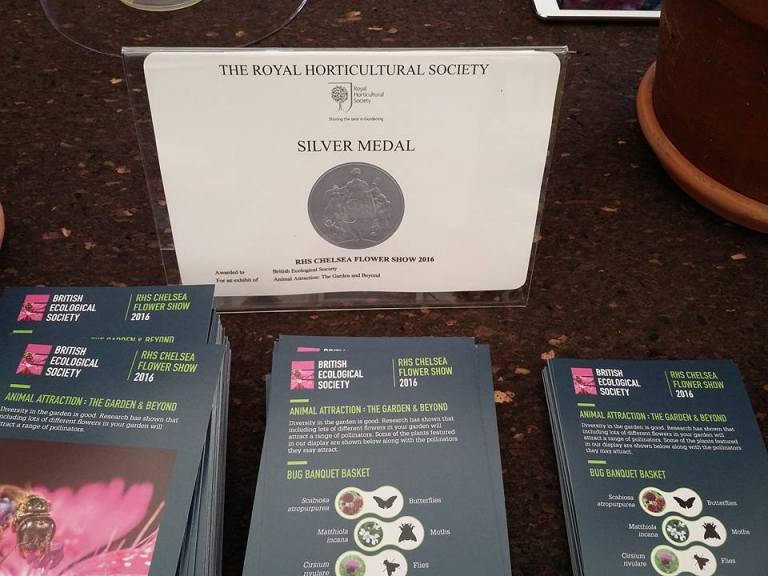 Silver Medal for the BES’s pollinator’s display at RHS Chelsea Flower ...