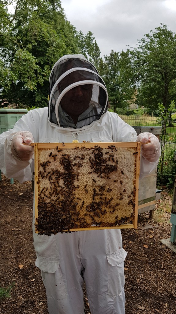 Bees and beer in London: an urban beekeeping experience | Prof. Jeff ...